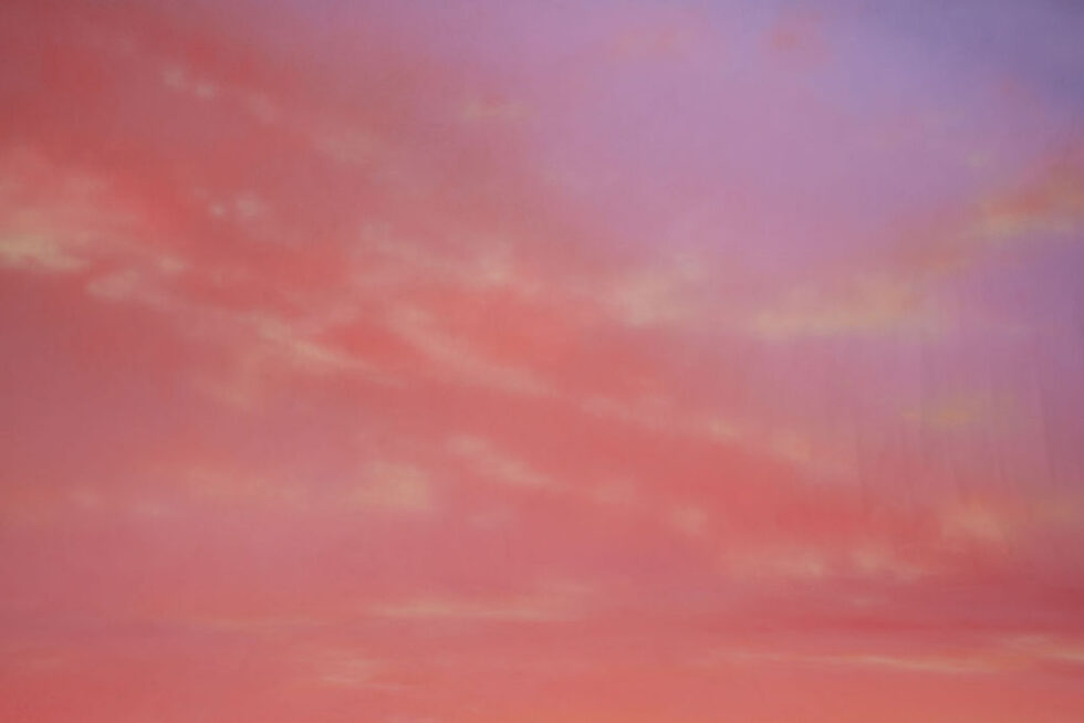 Rental Backdrops | Oliphant Studios