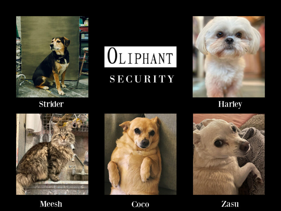 About Us - Oliphant Studios